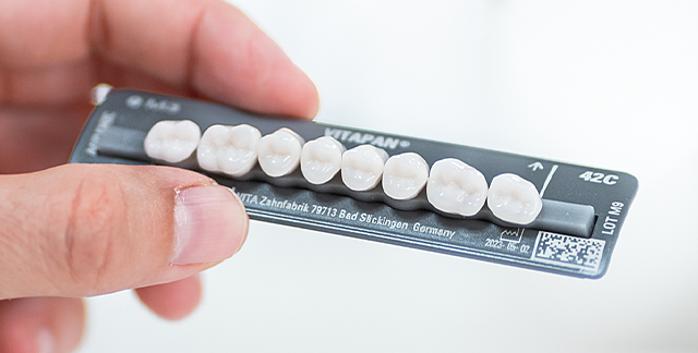 VITAPAN® CUSPIFORM Posterior - For simple reproduction of chewing ...